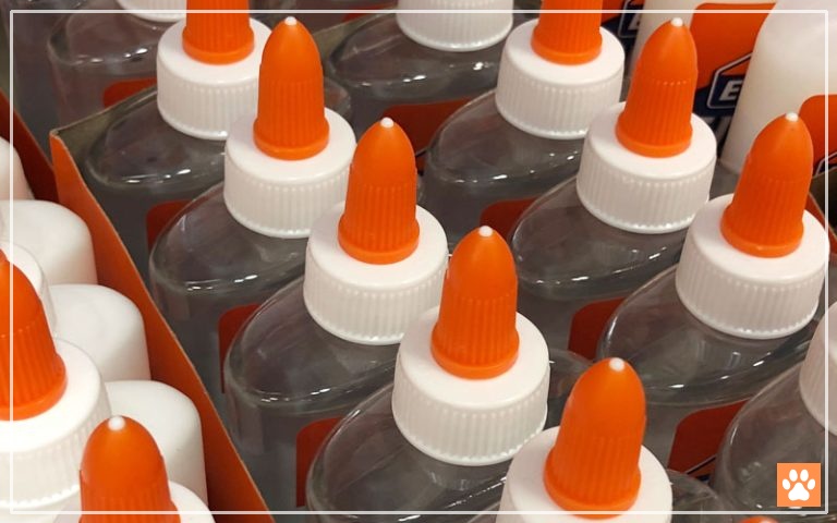 Does Glue Come From Horses? Interesting Facts - VIVO Pets
